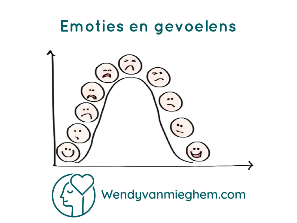 Emoties en gevoelens | Wendy van Mieghem - duurzaam veranderen